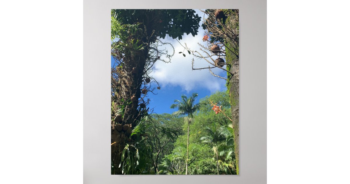Coconut Tree Poster | Zazzle