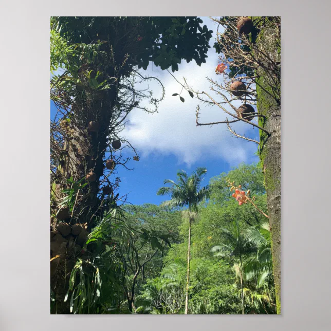 Coconut Tree Poster | Zazzle