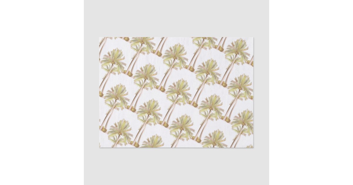 Coconut Tropical Palm Tree Tissue Paper | Zazzle