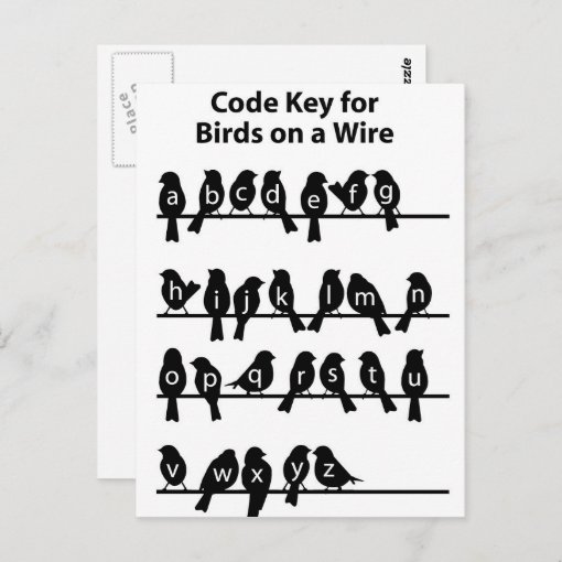 Code Key - Birds on a wire Postcard | Zazzle