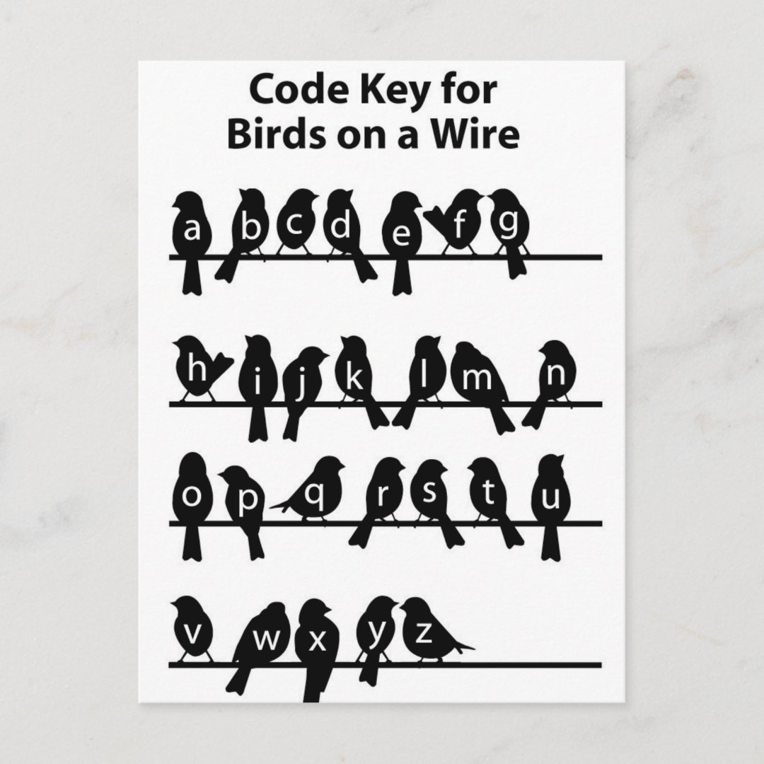 Code Key - Birds on a wire Postcard | Zazzle