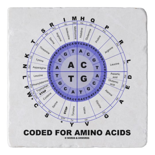 Coded For Amino Acids Codon Wheel Trivet | Zazzle.com