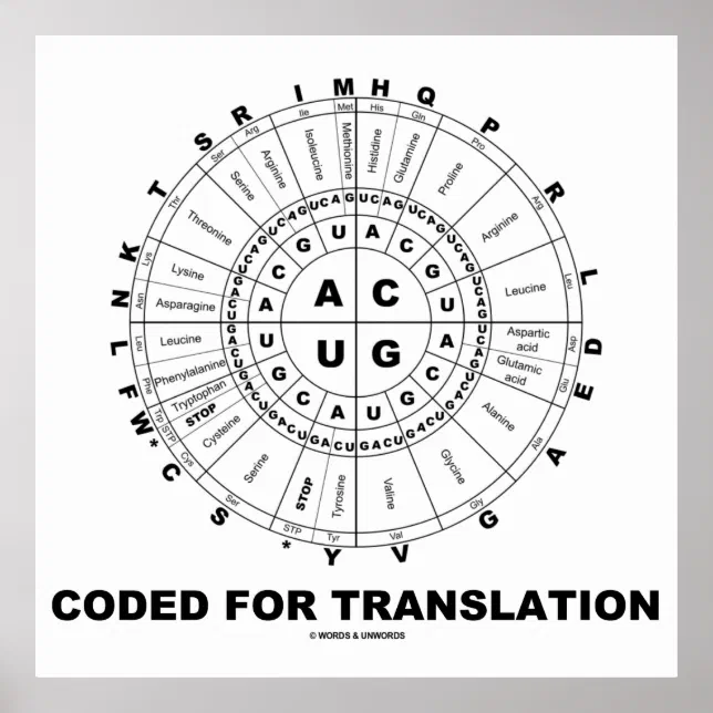 Coded For Translation (RNA Codon Wheel) Poster | Zazzle