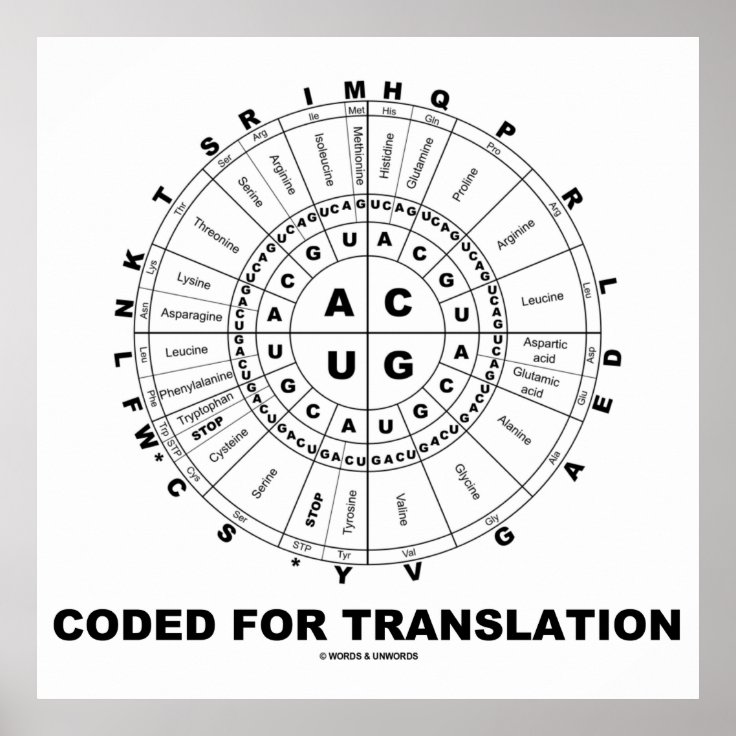 Coded For Translation (RNA Codon Wheel) Poster | Zazzle
