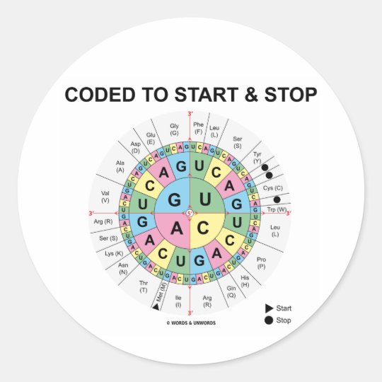 Coded To Start And Stop (Codon Wheel) Classic Round Sticker | Zazzle.com
