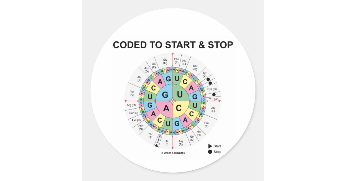 Coded To Start And Stop (Codon Wheel) Classic Round Sticker | Zazzle