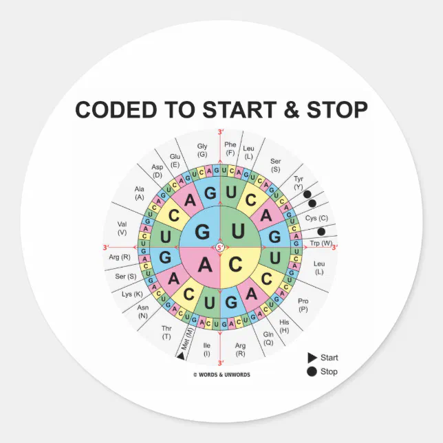 Coded To Start And Stop (Codon Wheel) Classic Round Sticker | Zazzle