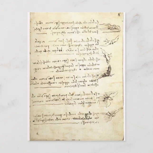 Codex on the flight of birds by Leonardo da Vinci Postcard | Zazzle