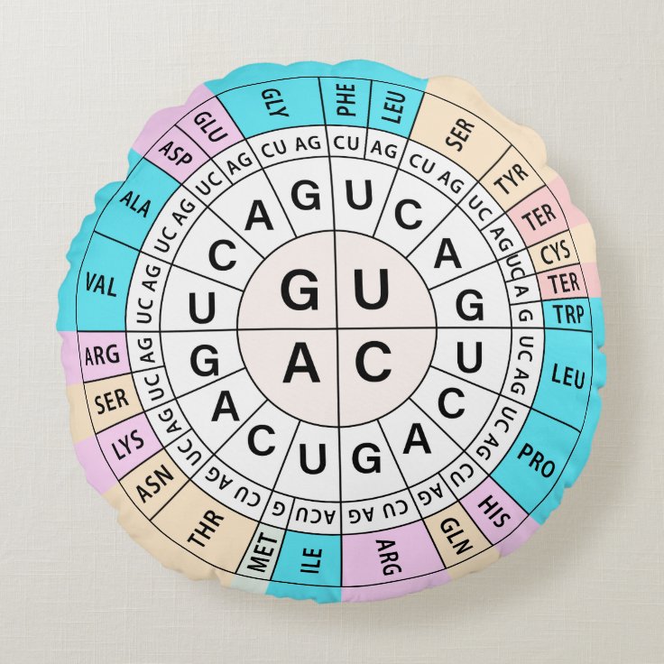 Codon Chart Genetic Code Round Pillow Zazzle