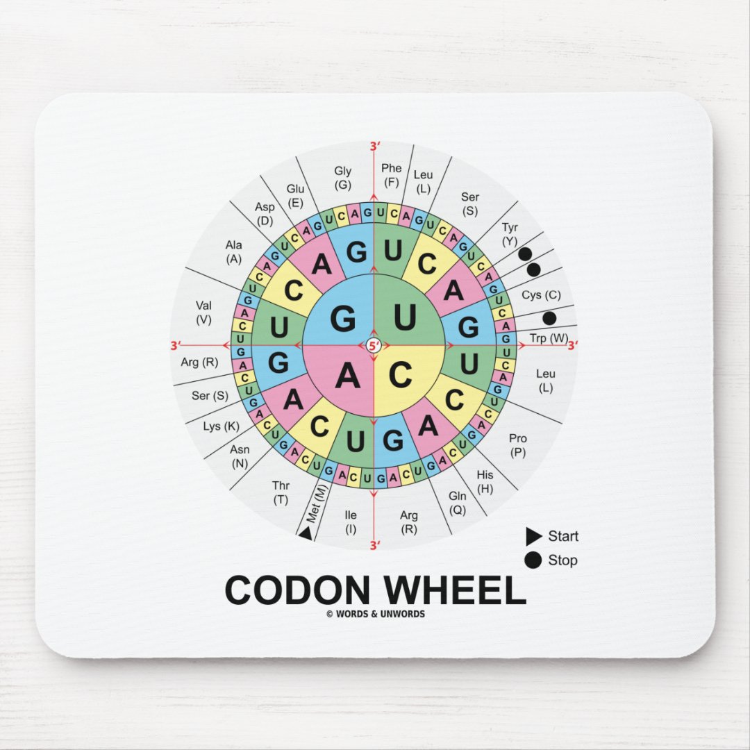 Codon Wheel (RNA Codons Amino Acids) Mouse Pad | Zazzle