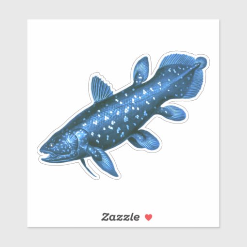 Coelacanth Sticker | Zazzle