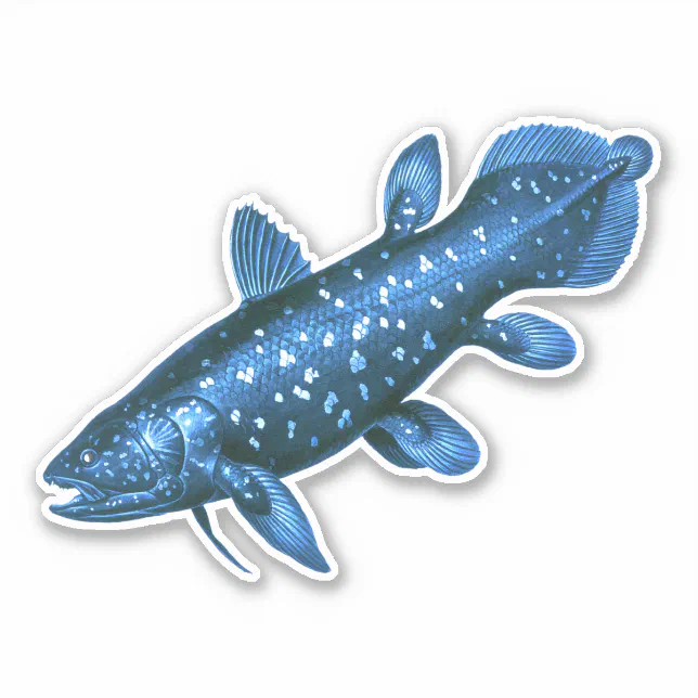 Coelacanth Sticker | Zazzle