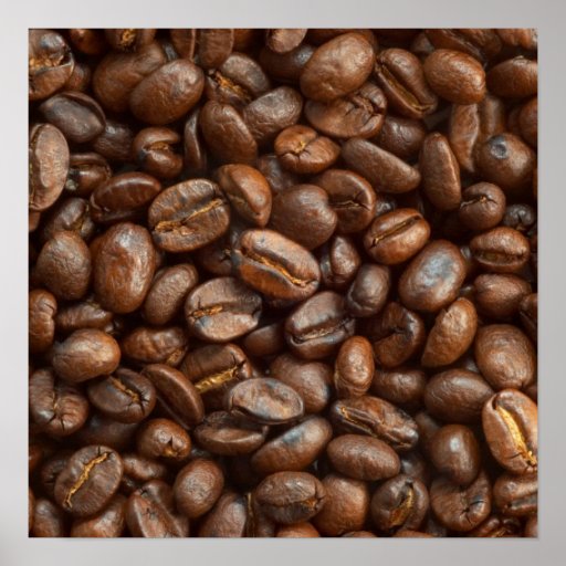 Coffee Bean Poster | Zazzle