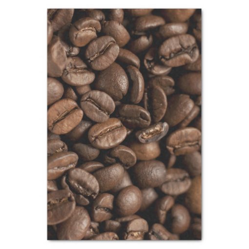 coffee bean tissue paper | Zazzle