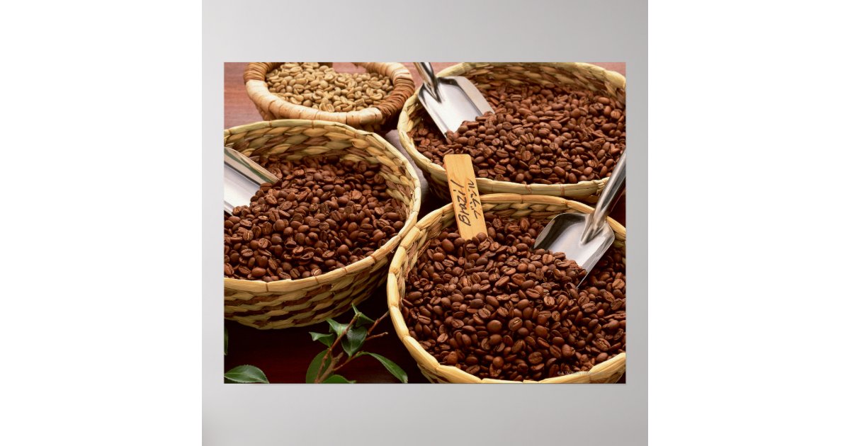 Coffee Beans Poster | Zazzle