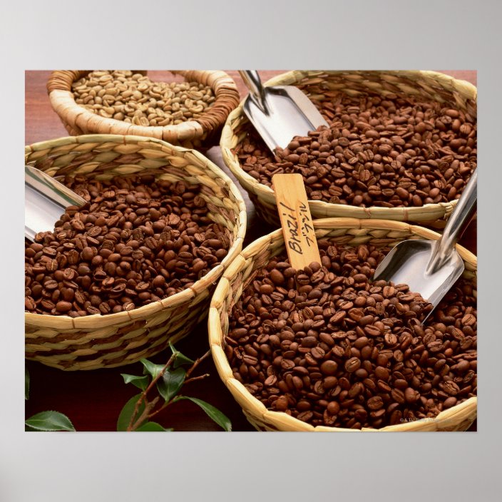Coffee Beans Poster | Zazzle.com