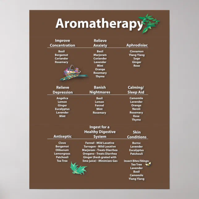 Coffee Colored Aromatherapy Chart Poster | Zazzle