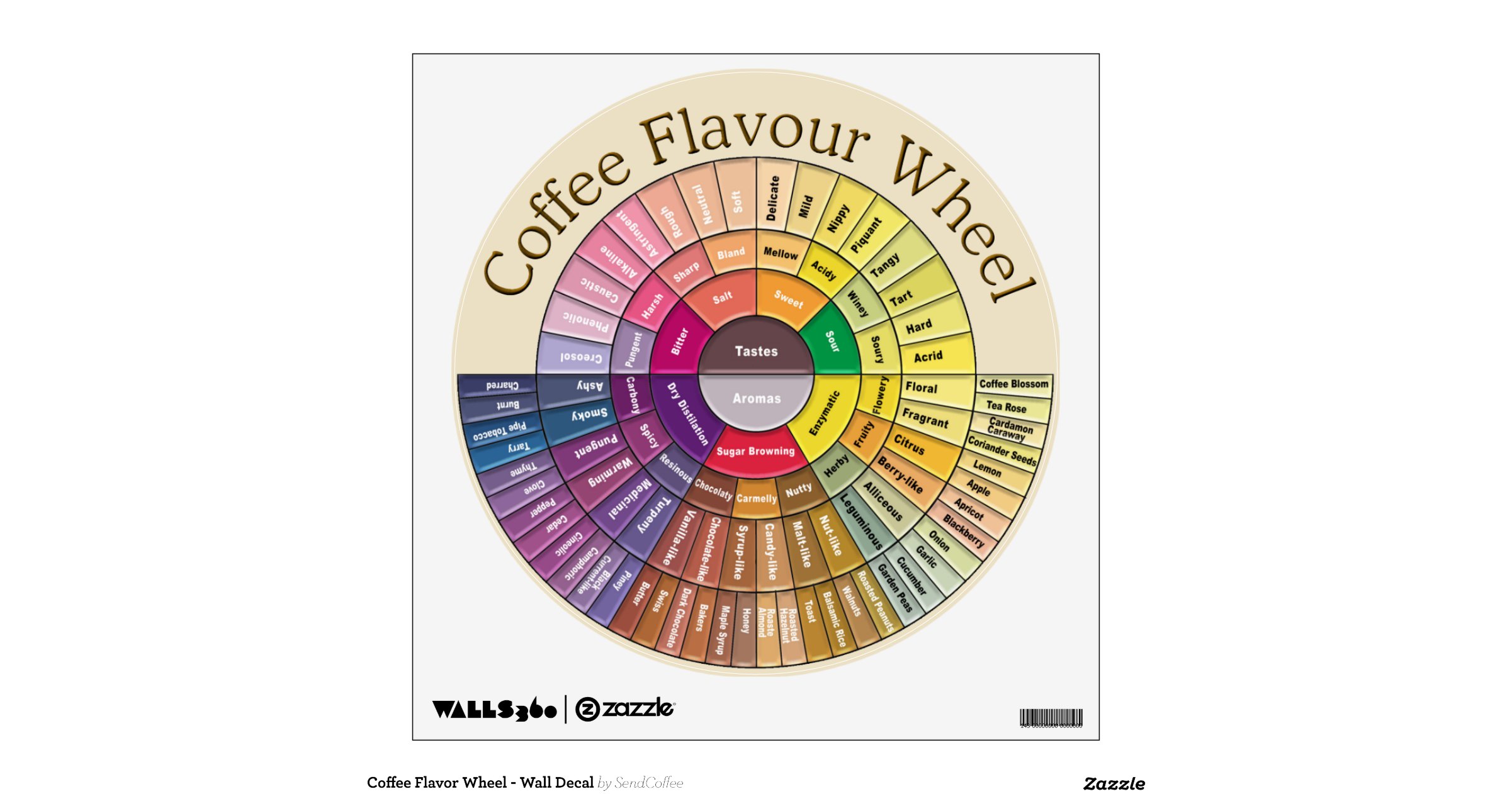 Coffee Flavor Wheel - Wall Decal | Zazzle