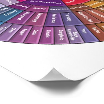 Coffee Flavour Wheel Wall Art | Zazzle