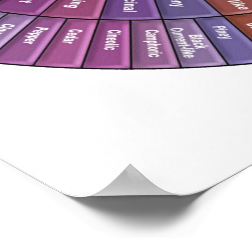 Coffee Flavour Wheel Wall Art - Large | Zazzle