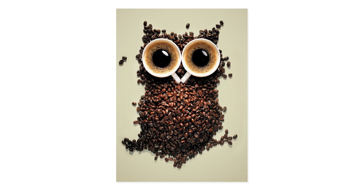 Coffee Owl Postcard | Zazzle.com