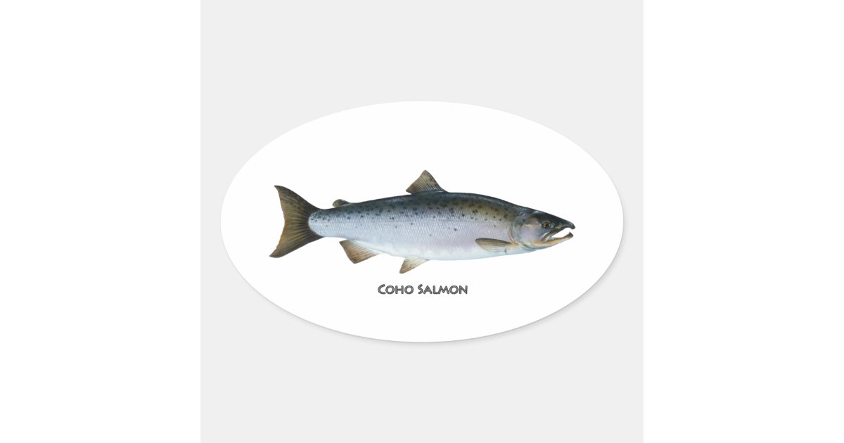 Coho Salmon Oval Sticker | Zazzle