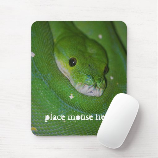 Coiled Exotic Green Snake Mouse Pad | Zazzle