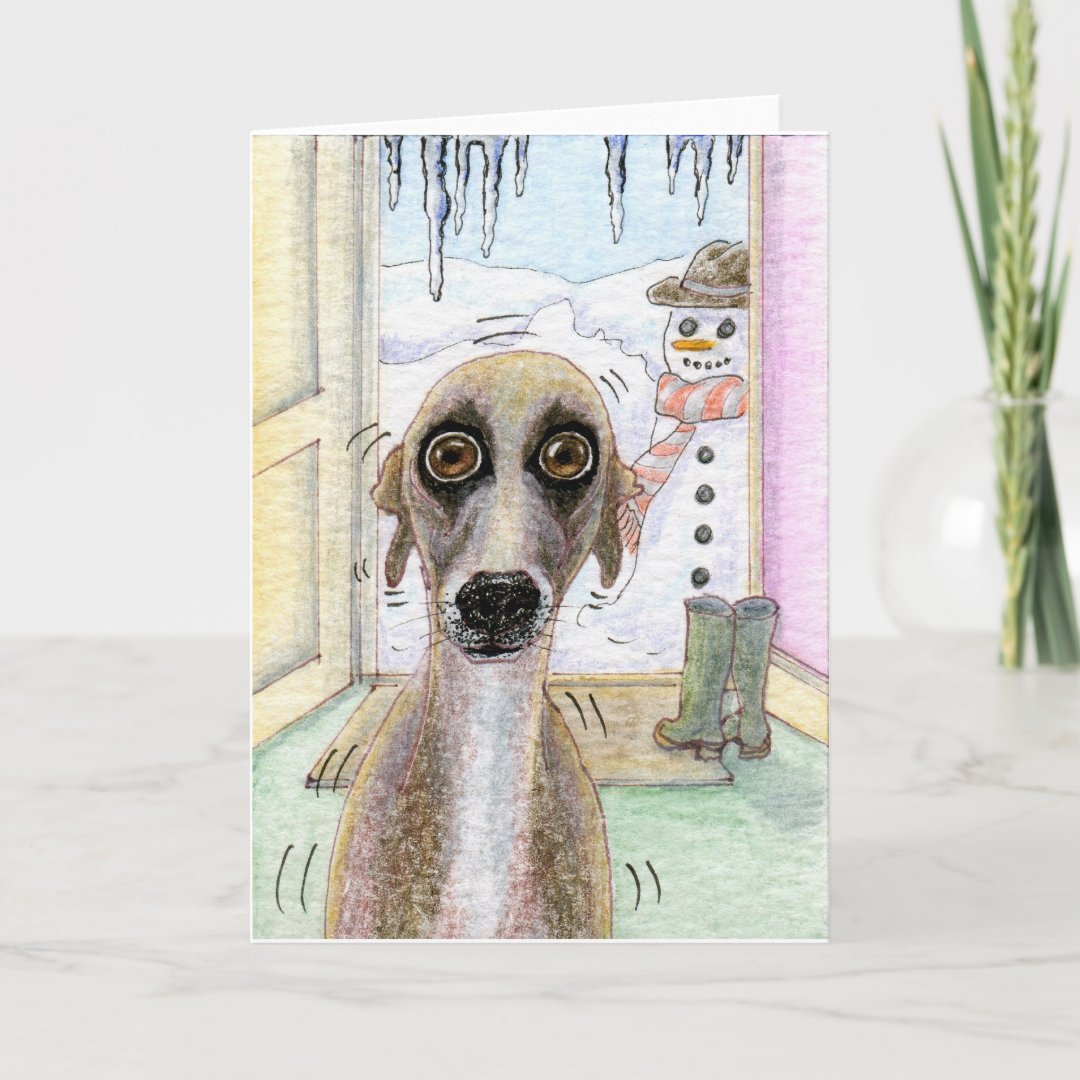 Cold Whippet Christmas card | Zazzle