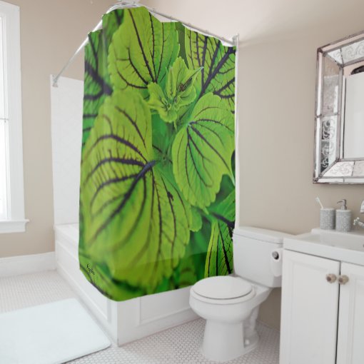 Coleus Fern Shower Curtain | Zazzle