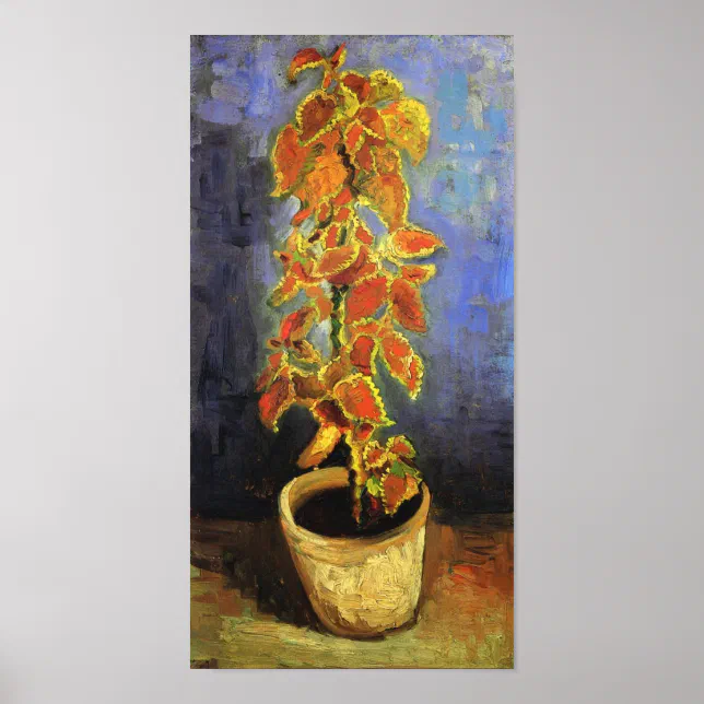 Coleus Plant in a Flowerpot Van Gogh Fine Art Poster | Zazzle