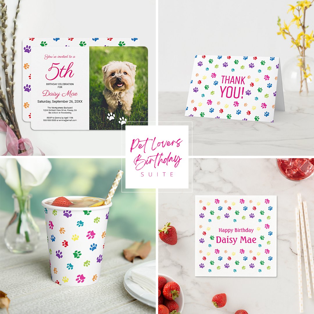 Rainbow Painted Paw Prints Pet Birthday Invitation | Zazzle