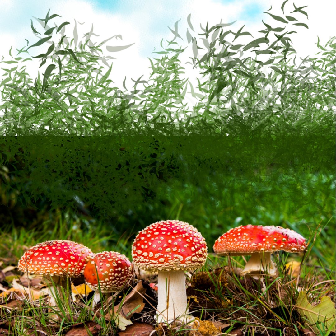 Fall Mushroom Wedding Invitation Foil Invitation | Zazzle
