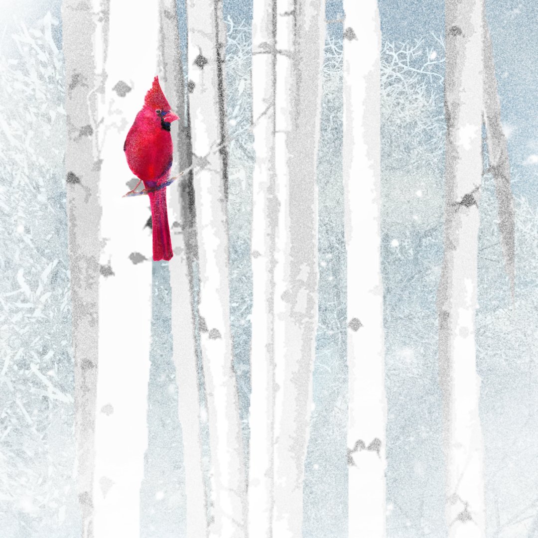 Christmas Wishes Red Cardinal Sister Friend Holid Holiday Card | Zazzle