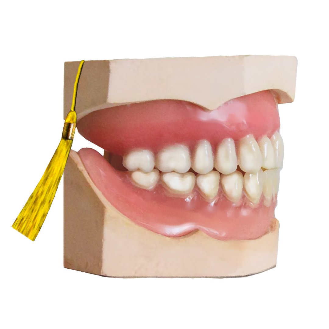 Dental School Graduation Party Banner | Zazzle