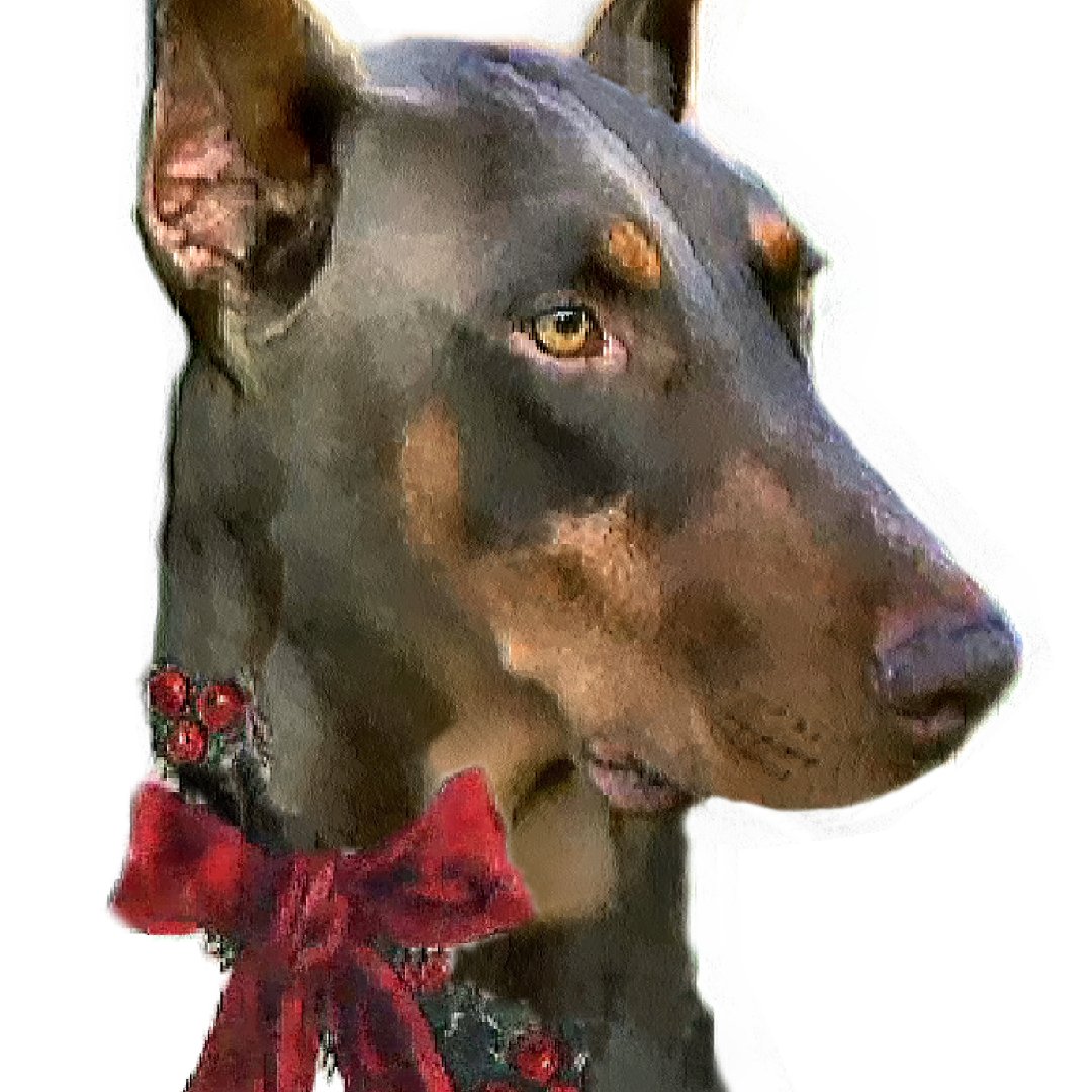 Doberman Pinscher Christmas Bath Towel Set | Zazzle