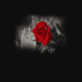 Elegant Red Rose Vignette Wedding Menu Card | Zazzle