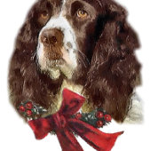 English Springer Spaniel Christmas Ornaments | Zazzle