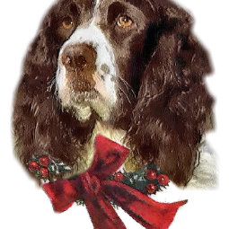 English Springer Spaniel Christmas Ornaments | Zazzle