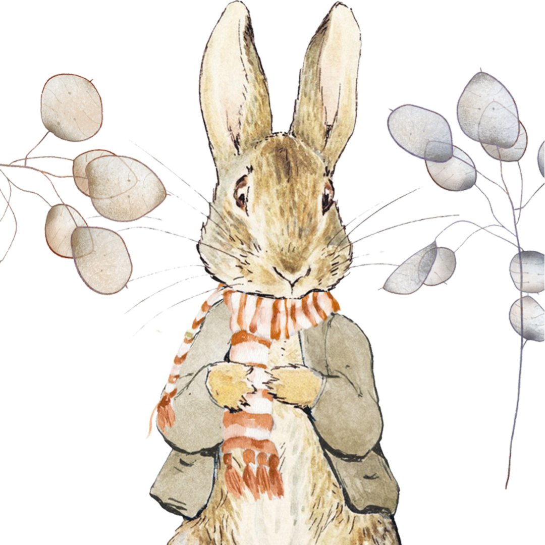 Fall Peter the Rabbit Twins Baby shower Invitation | Zazzle