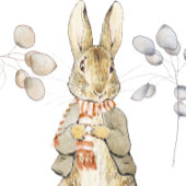 Fall Peter the Rabbit Twins Baby shower Invitation | Zazzle