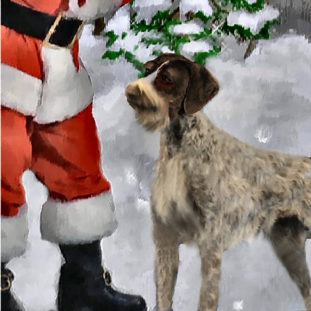 German Wirehaired Pointer Christmas Ornament | Zazzle