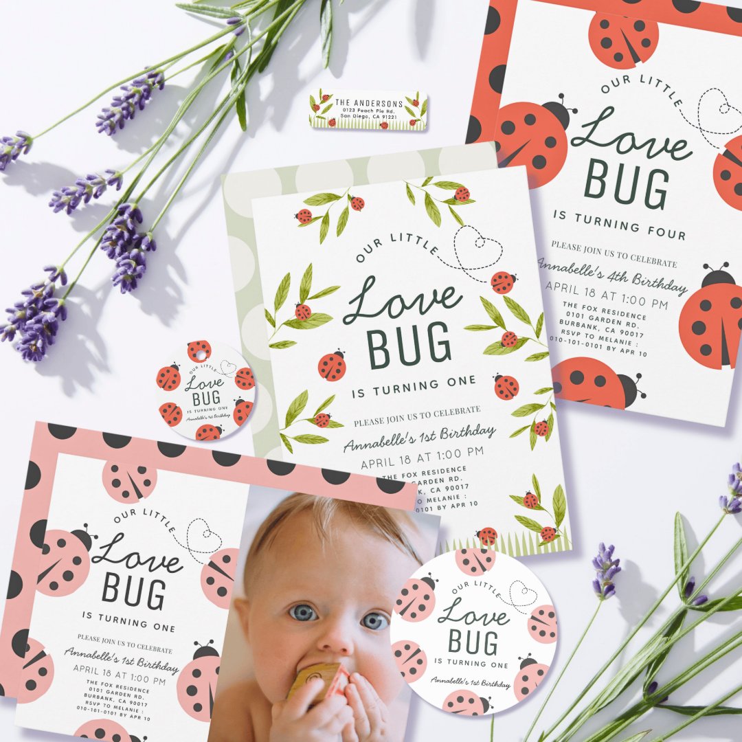 Little Love Bug Light Pink Ladybug 1st Birthday Invitation | Zazzle