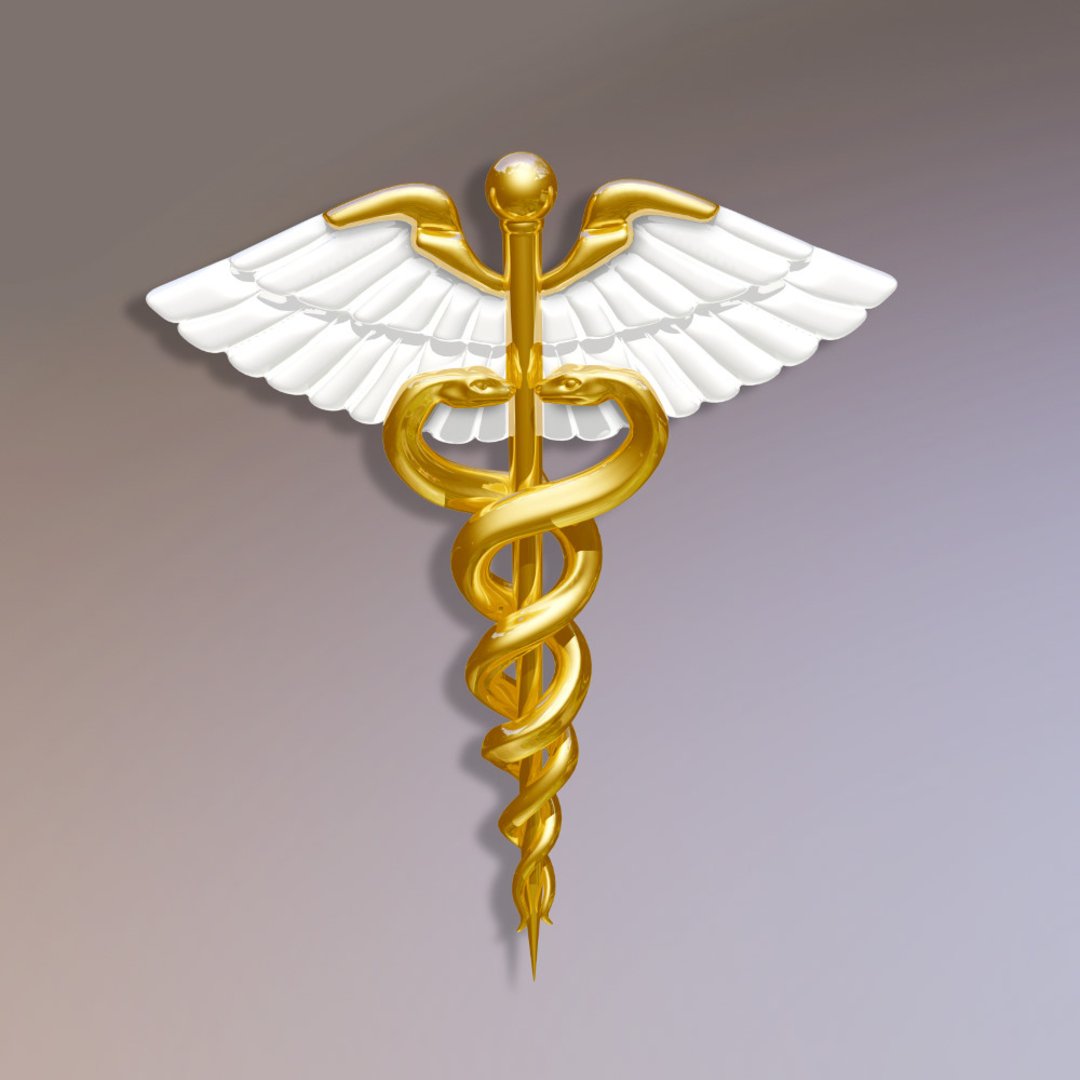 Medical Elegant Gold Caduceus White Wings Magnet | Zazzle