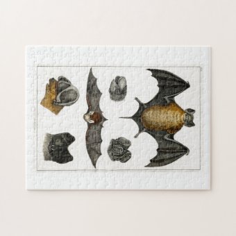 Collection of various Bats Jigsaw Puzzle | Zazzle