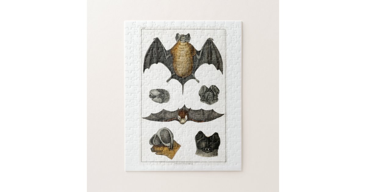 Collection of various Bats Jigsaw Puzzle | Zazzle