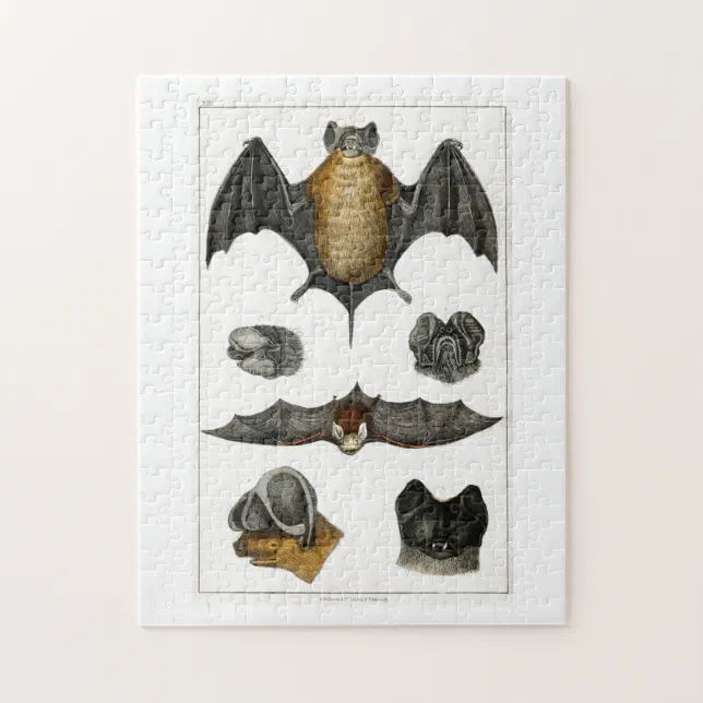 Collection of various Bats Jigsaw Puzzle | Zazzle