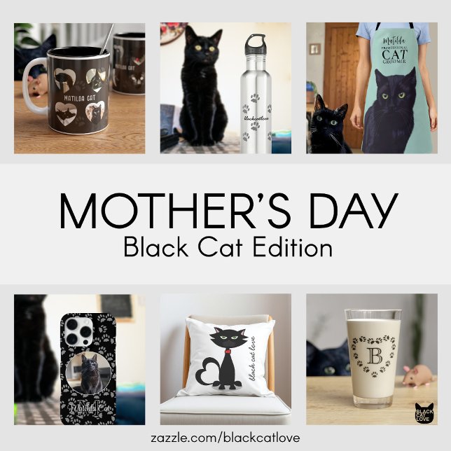 oddsocks cats