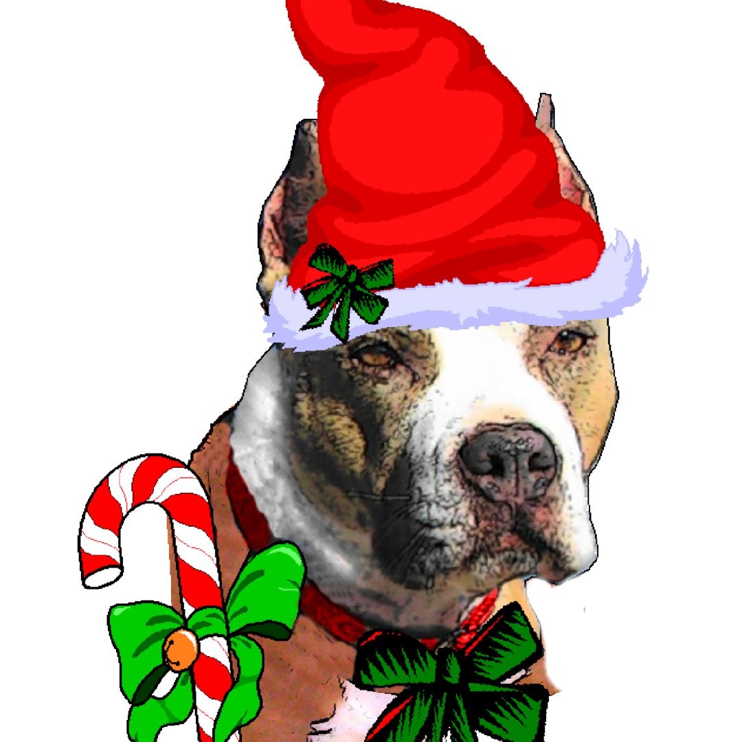 Cute Pit Bull Christmas Holiday Card | Zazzle