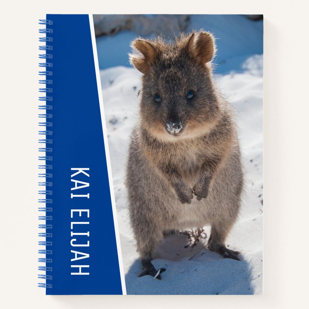 Pink Girls Custom Name Quokka on the Beach Notebook | Zazzle