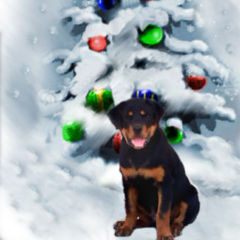 Rottweiler Puppy Christmas Gifts Ornaments | Zazzle